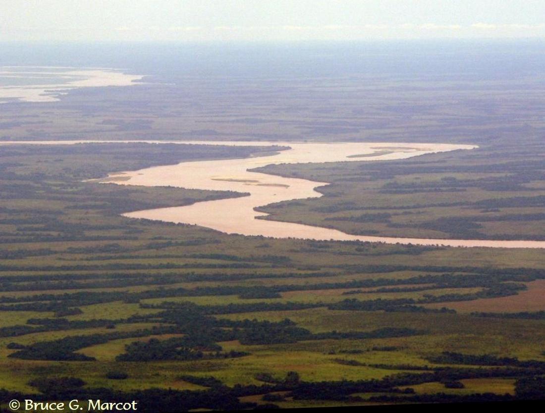 Река Касаи (Африка)